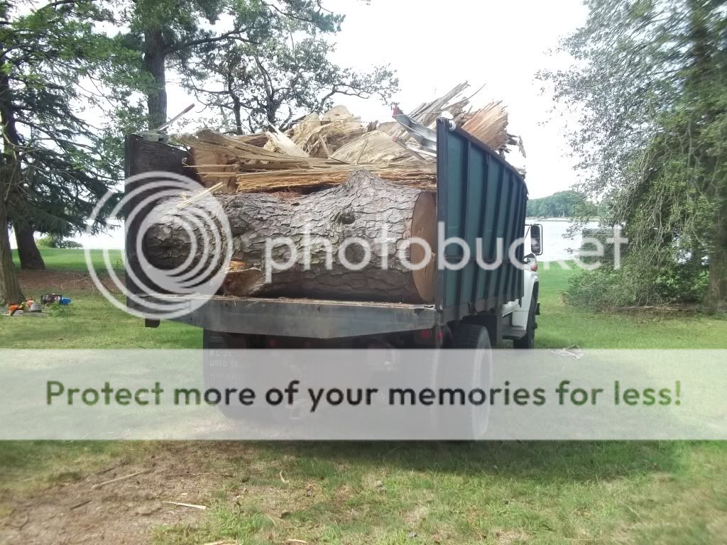 Wood Hauler Pics | Page 85 | Arborist, Chainsaw & Tree Work Forum